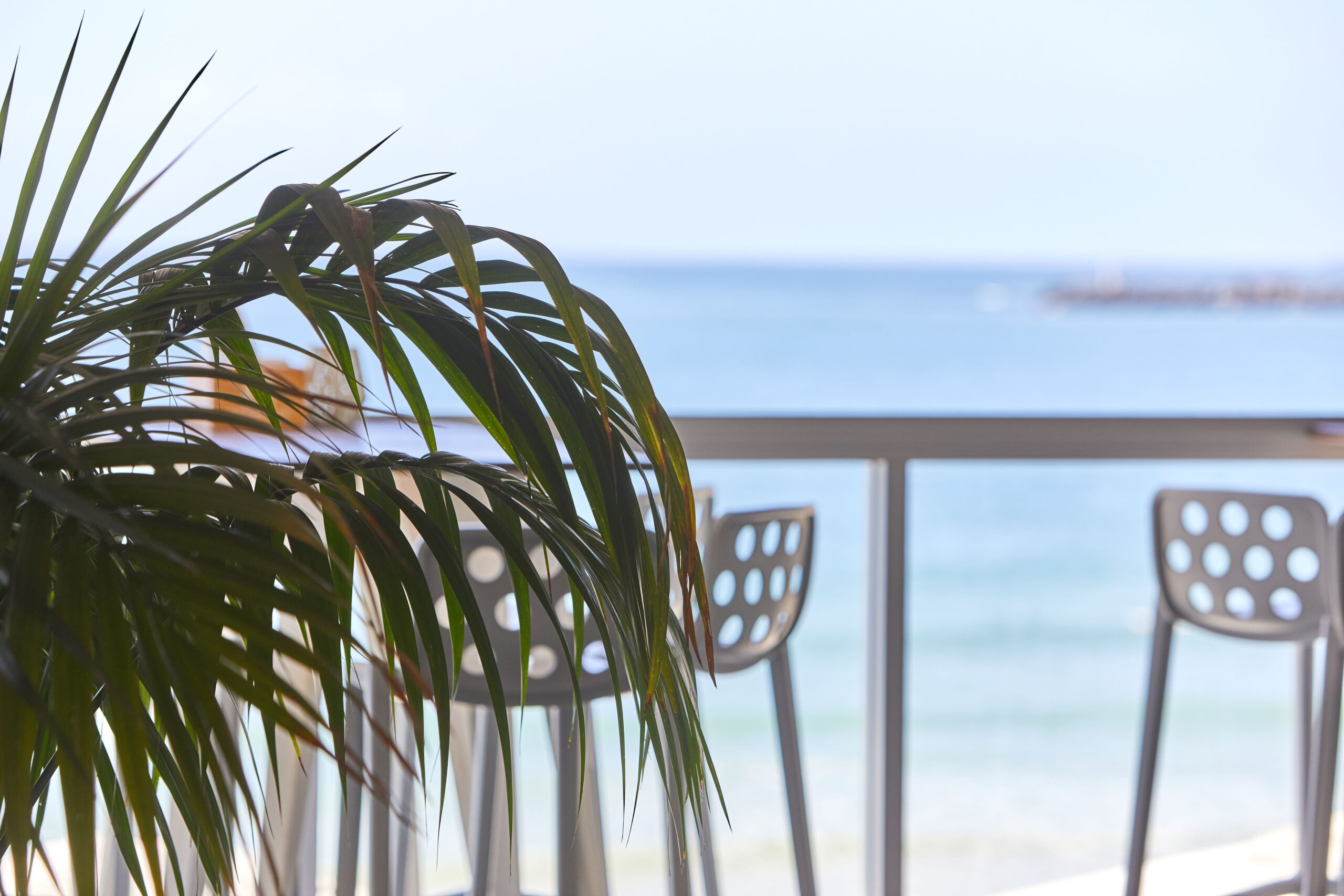 Bayview Restaurant & Bar | The Surf Club Mooloolaba